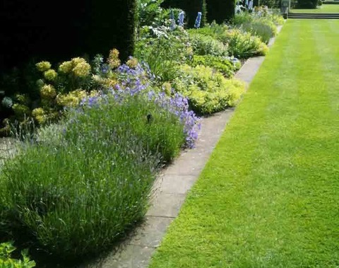Planting Schemes - Iqon Ltd